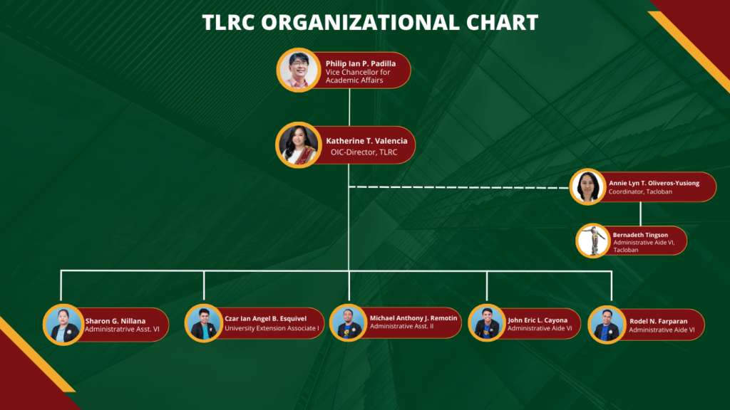 Organizational Structure – UPV Teaching and Learning Resource Center